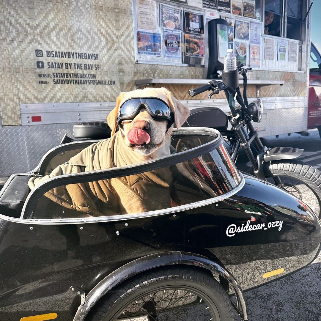 4/6/23 – Presidio Tunnel Tops – Satay By The Bay SF